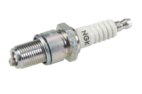 SPARK PLUG NGK B10 EG